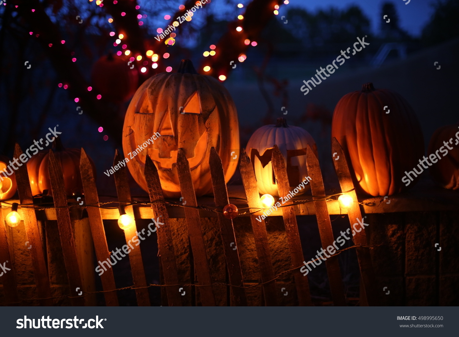 Halloween pumpkin patch at night_站酷海洛_正版图片_视频_字体_音乐素材交易平台_站酷旗下品牌