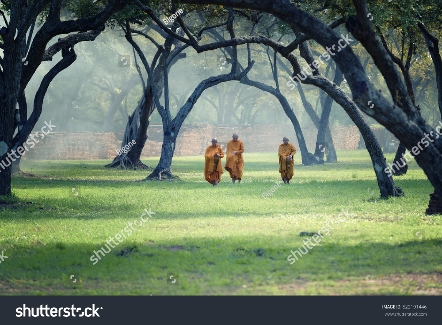 Asian monk walk under a tree monk meditating in area around wilderness ...