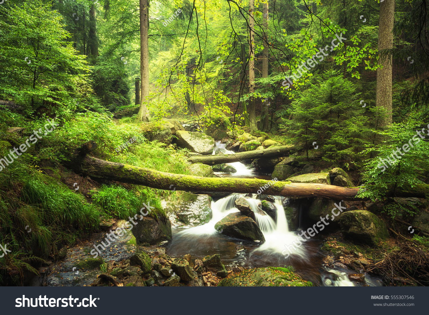 Wonderful green forest with creek and little waterfalls_站酷海洛_正版图片_视频_字体 ...