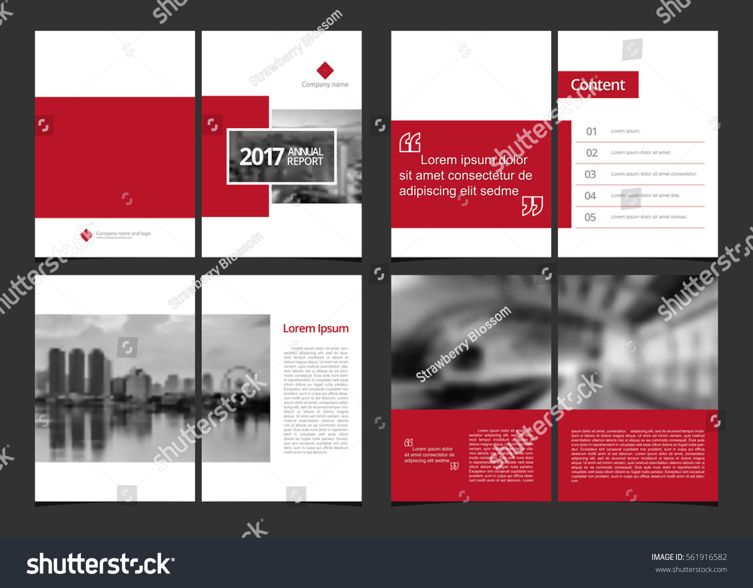 Corporate Design Annual Report Or Catalog Magazine Flyer Booklet 
