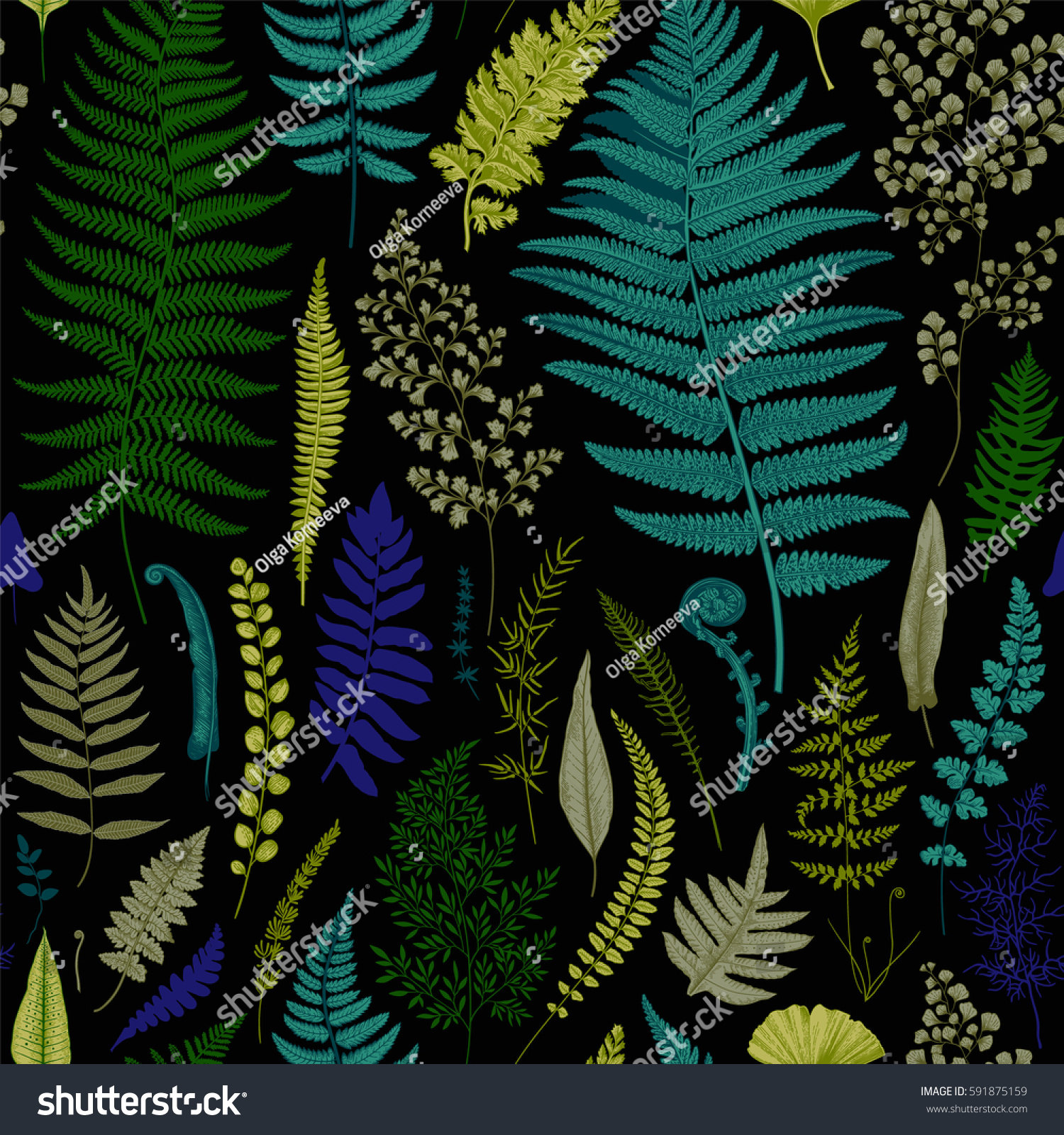 Seamless pattern. Ferns. Vintage vector botanical illustration. Vivid_站酷海洛_正版图片_视频_字体_音乐素材交易平台_站 ...