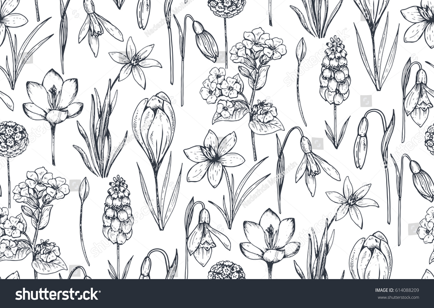Seamless pattern with hand drawn spring flowers and plants in sketch ...