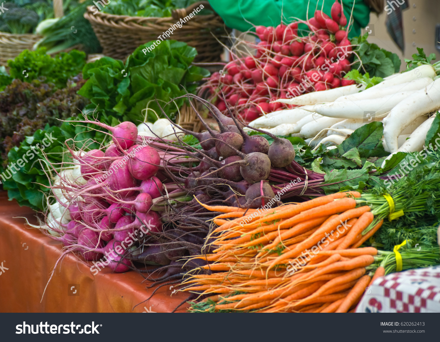 Stacks of fresh organic root vegetables like carrots beets and radishes ...