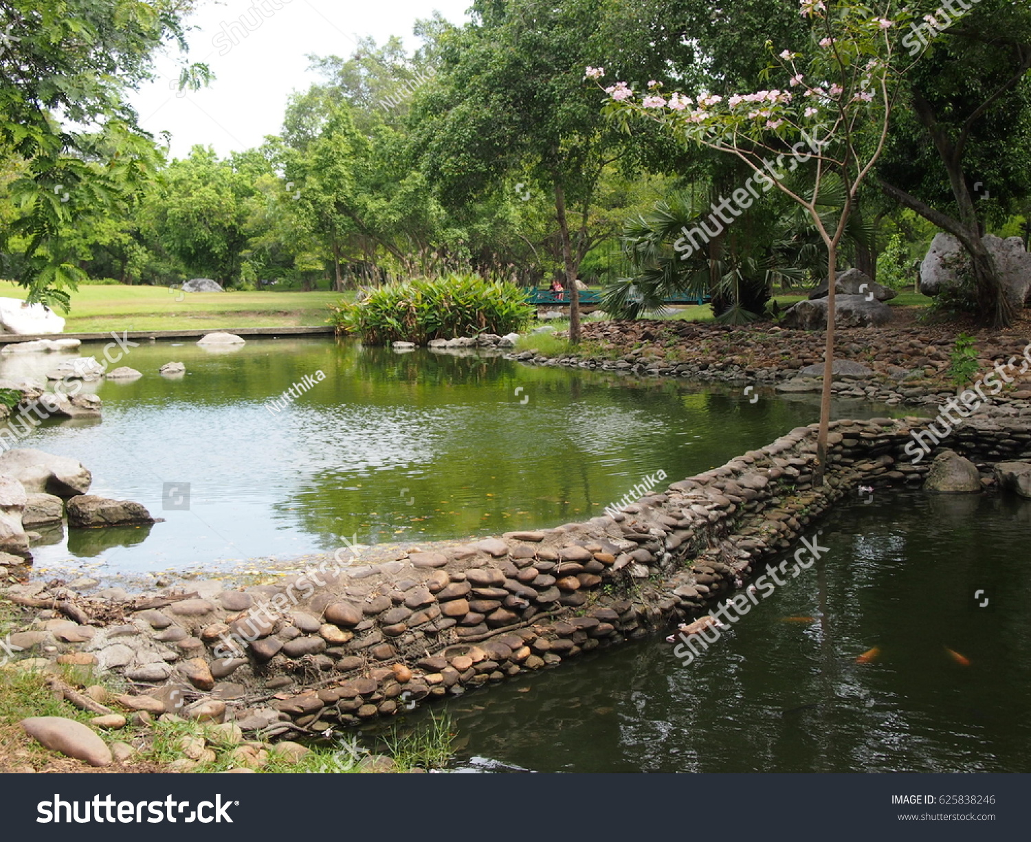 A mini stone dam with waterfall and some rocks with trees _站酷海洛_正版图片_视频 ...