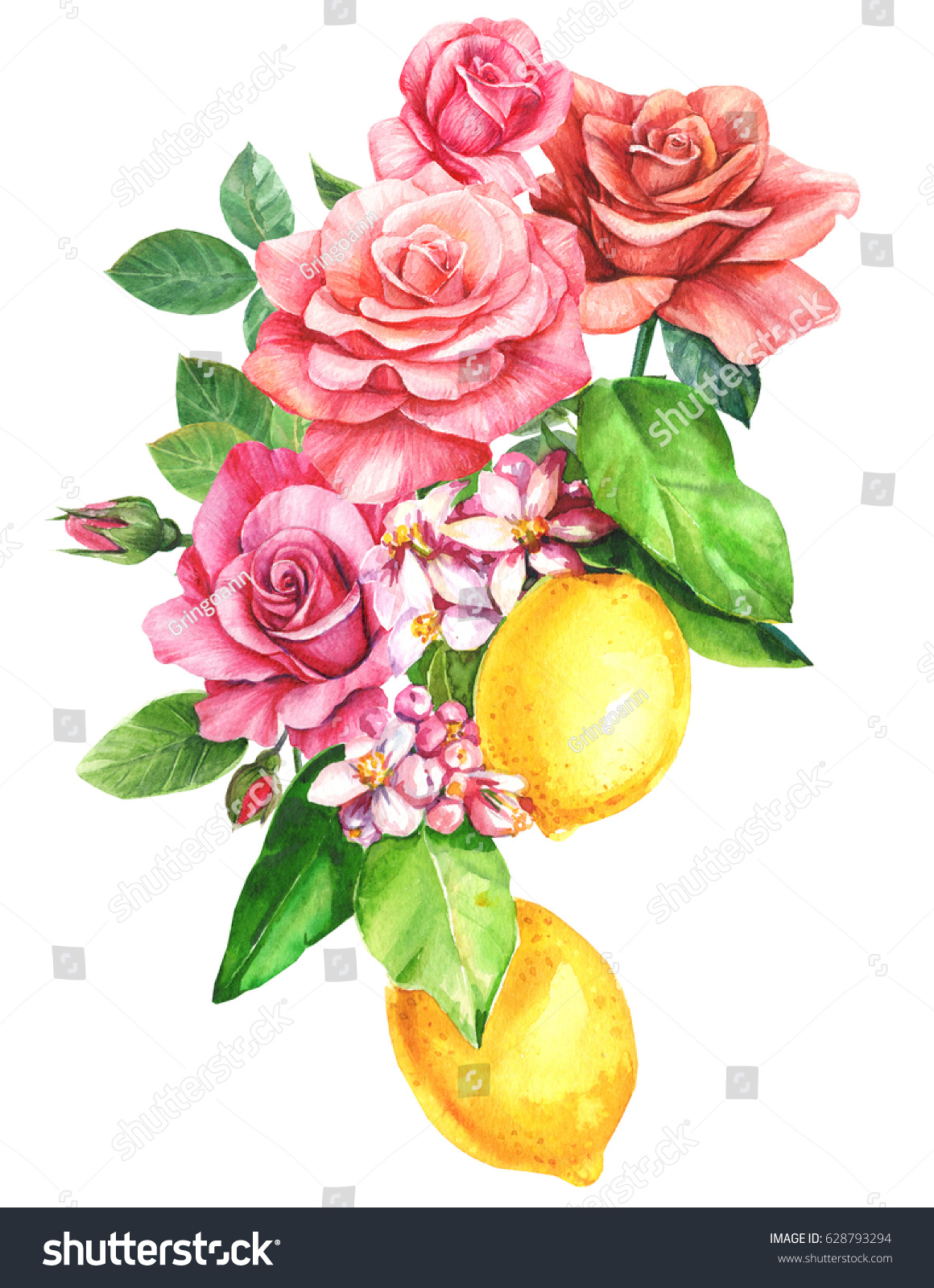 Lemon and roses watercolor card_站酷海洛_正版图片_视频_字体_音乐素材交易平台_站酷旗下品牌