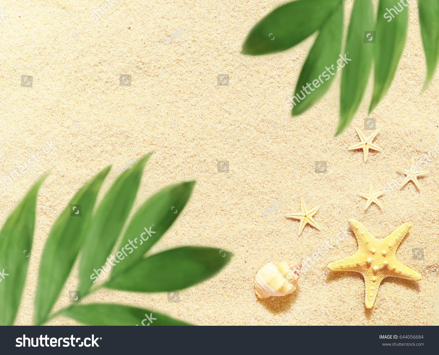 Summer beach_站酷海洛_正版图片_视频_字体_音乐素材交易平台_站酷旗下品牌