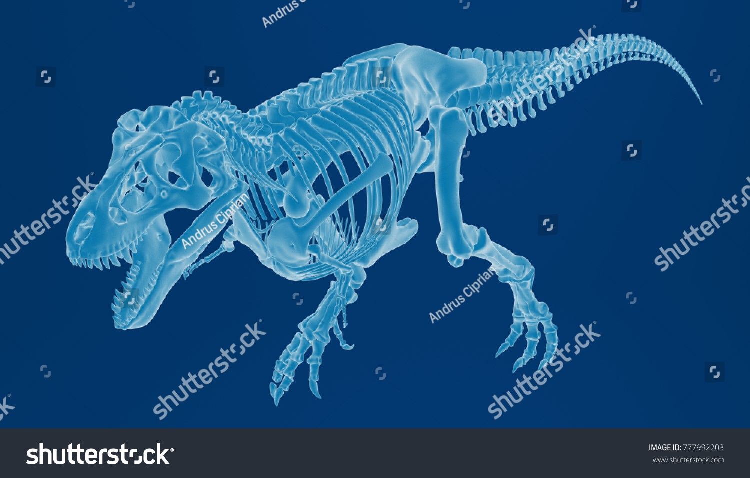 3d rendering of an dinosaurs rex skeleton_站酷海洛_正版图片_视频_字体_音乐素材交易平台_站酷旗下品牌